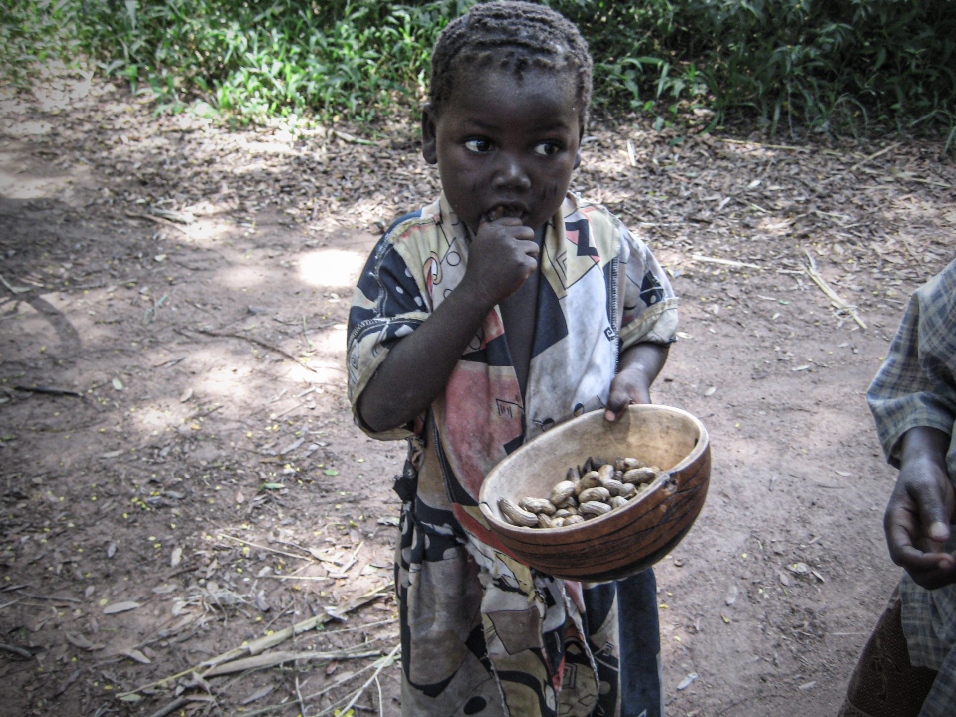 Weizenmangel und Hunger in Afrika durch den Ukraine-Krieg ...